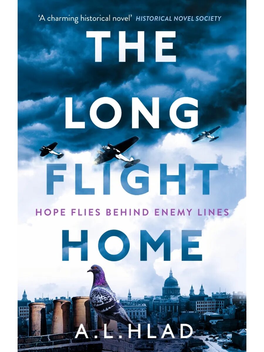 The Long Flight Home