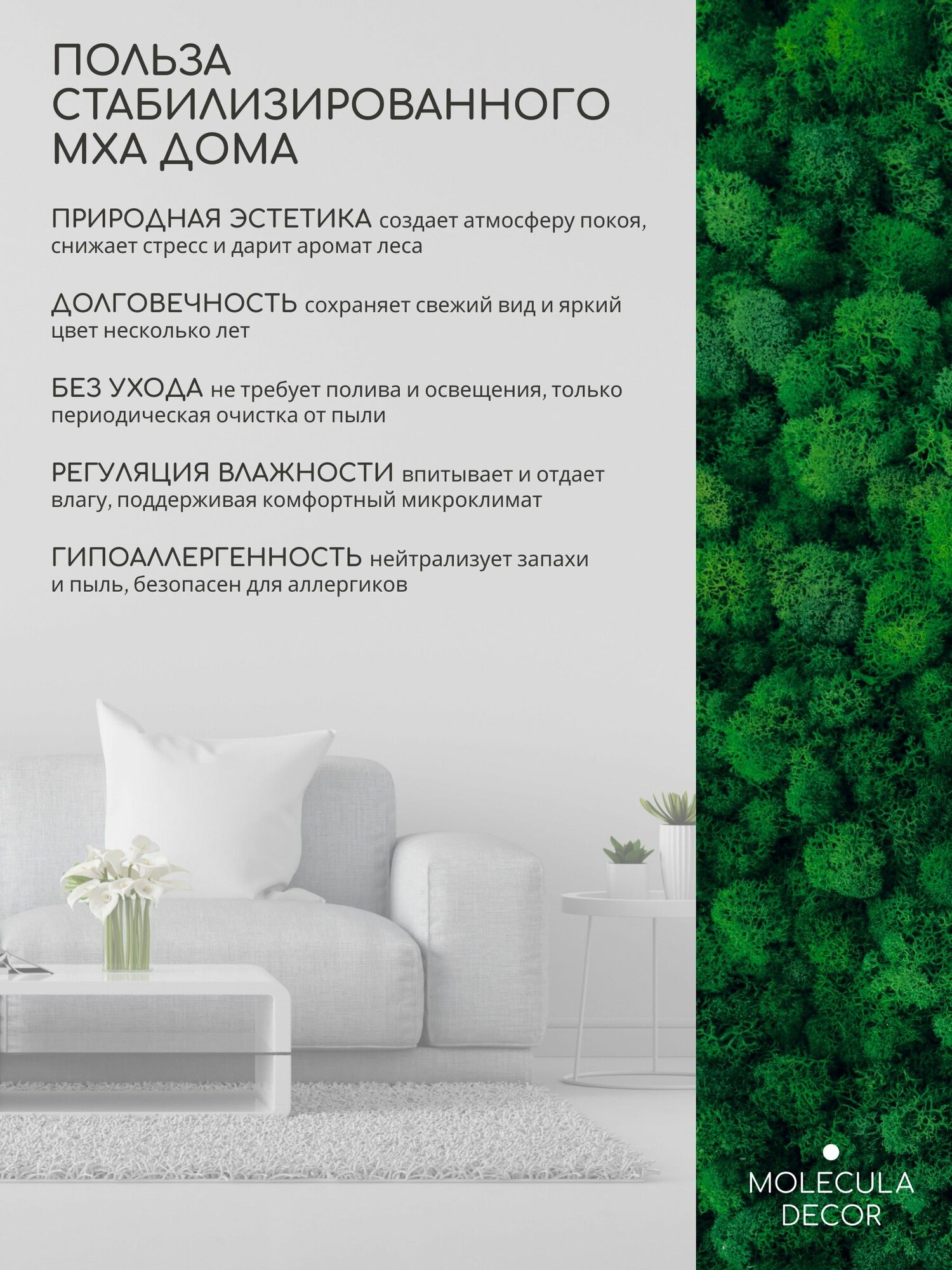 Набор настенных декоративных кашпо 10,15,20 см 3 шт черного цвета со стабилизированным мхом на стену интерьерное сухоцветы, Molecula Decor