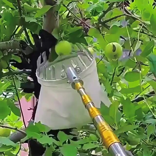 Fruitlike Плодосборник