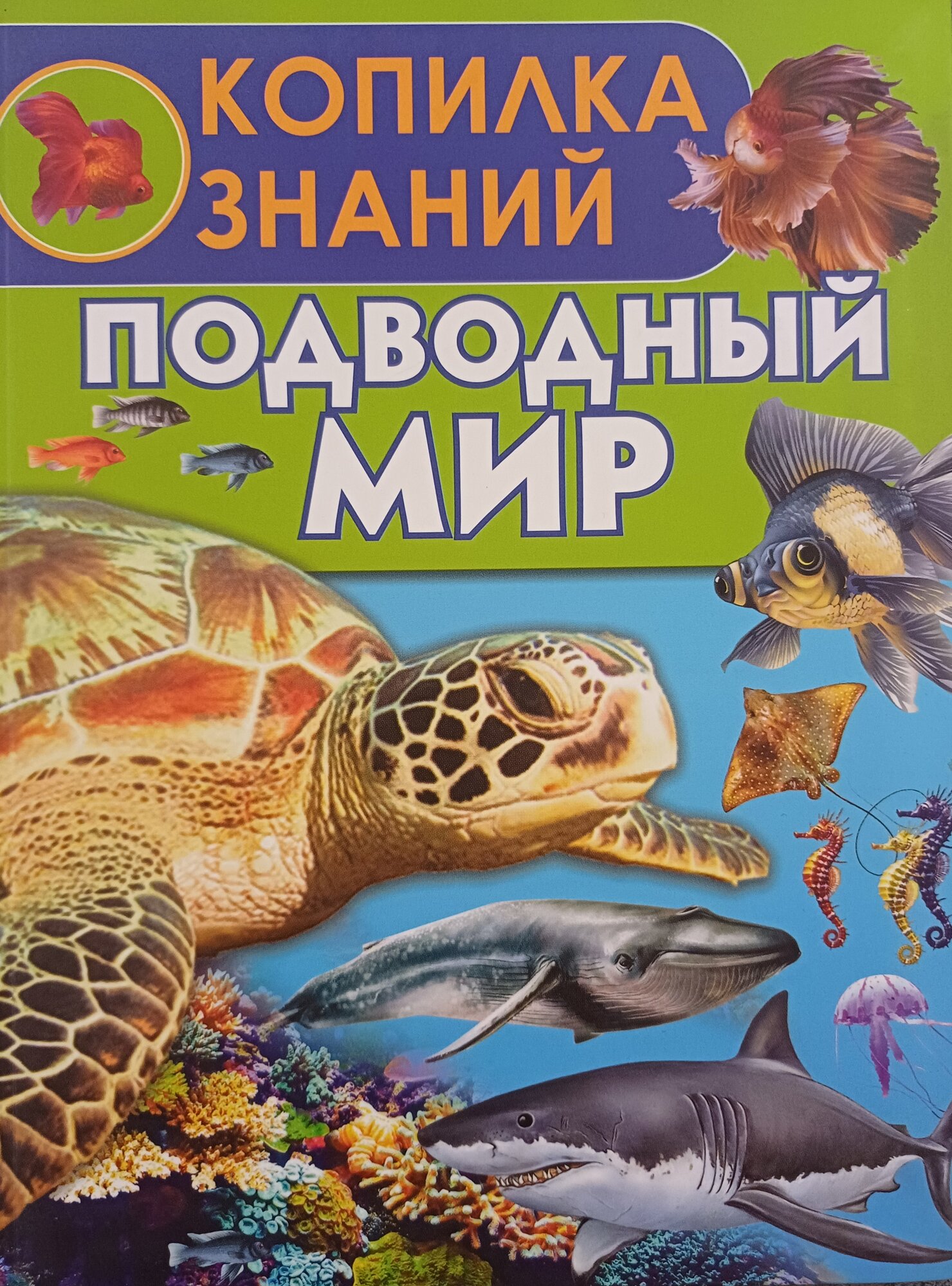 Ботякова Е. Н. "Подводный мир. Копилка знаний "Познавательная литература для детей. АСТ, 2016 год.