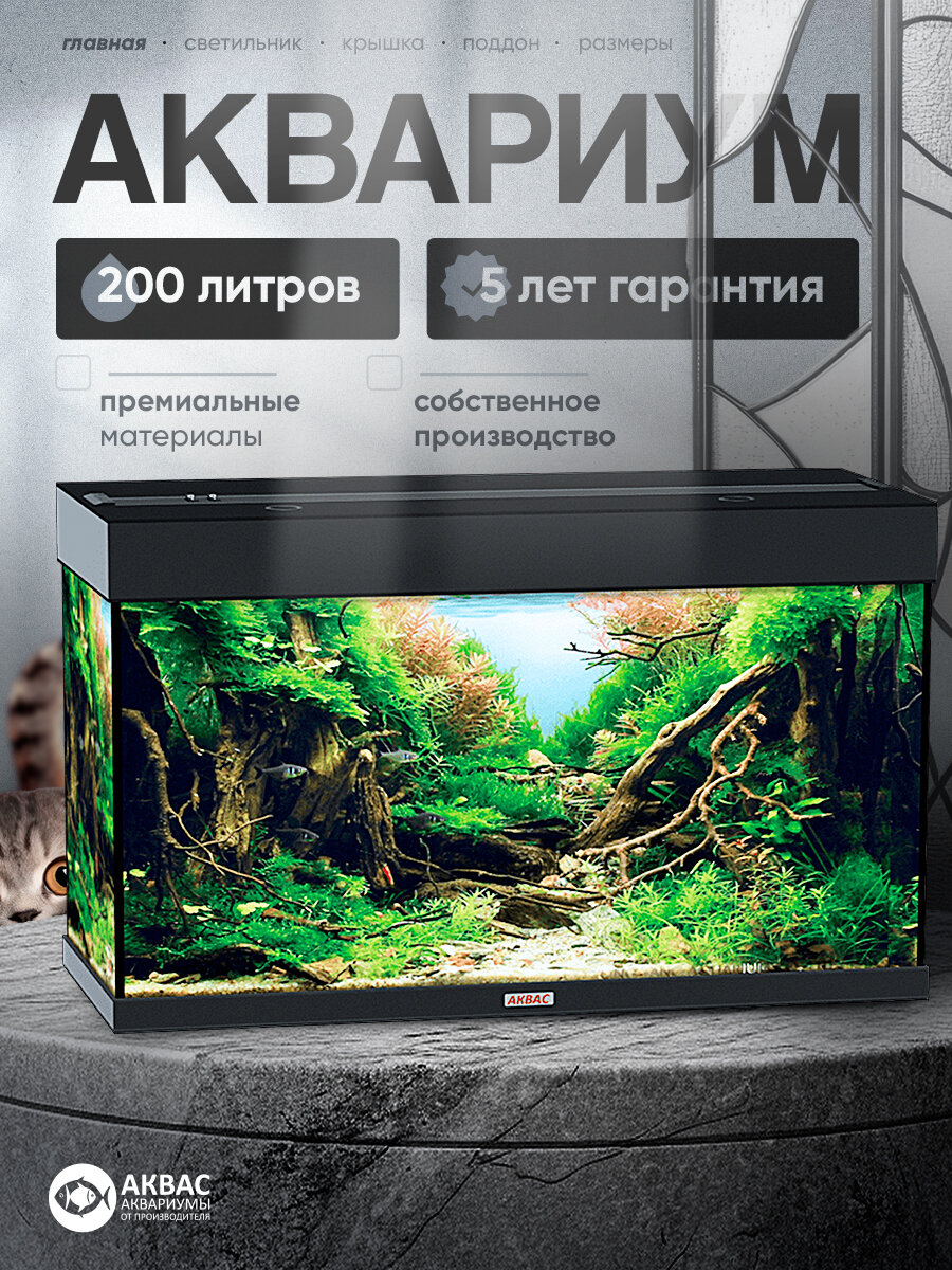 Аквариум 200 литров с крышкой и освещением, (101*41*57 см) Аквас