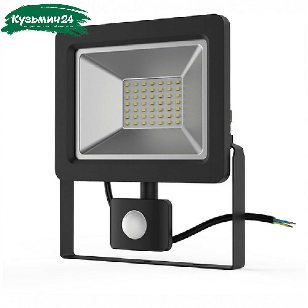Прожектор светодиодный Gauss 50W IP65 6500K с датчиком движения, 1 шт