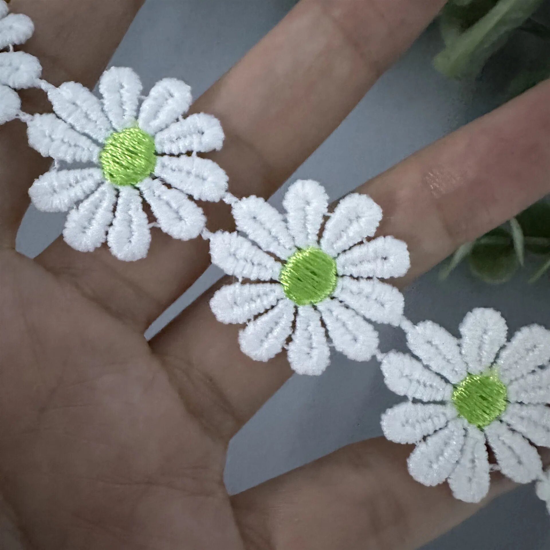Кружево молочного цвета для рукоделия Daisy-XJ336 Green