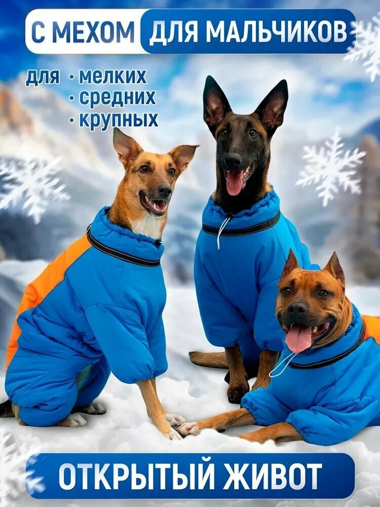Утепленный комбинезон для собак мальчиков