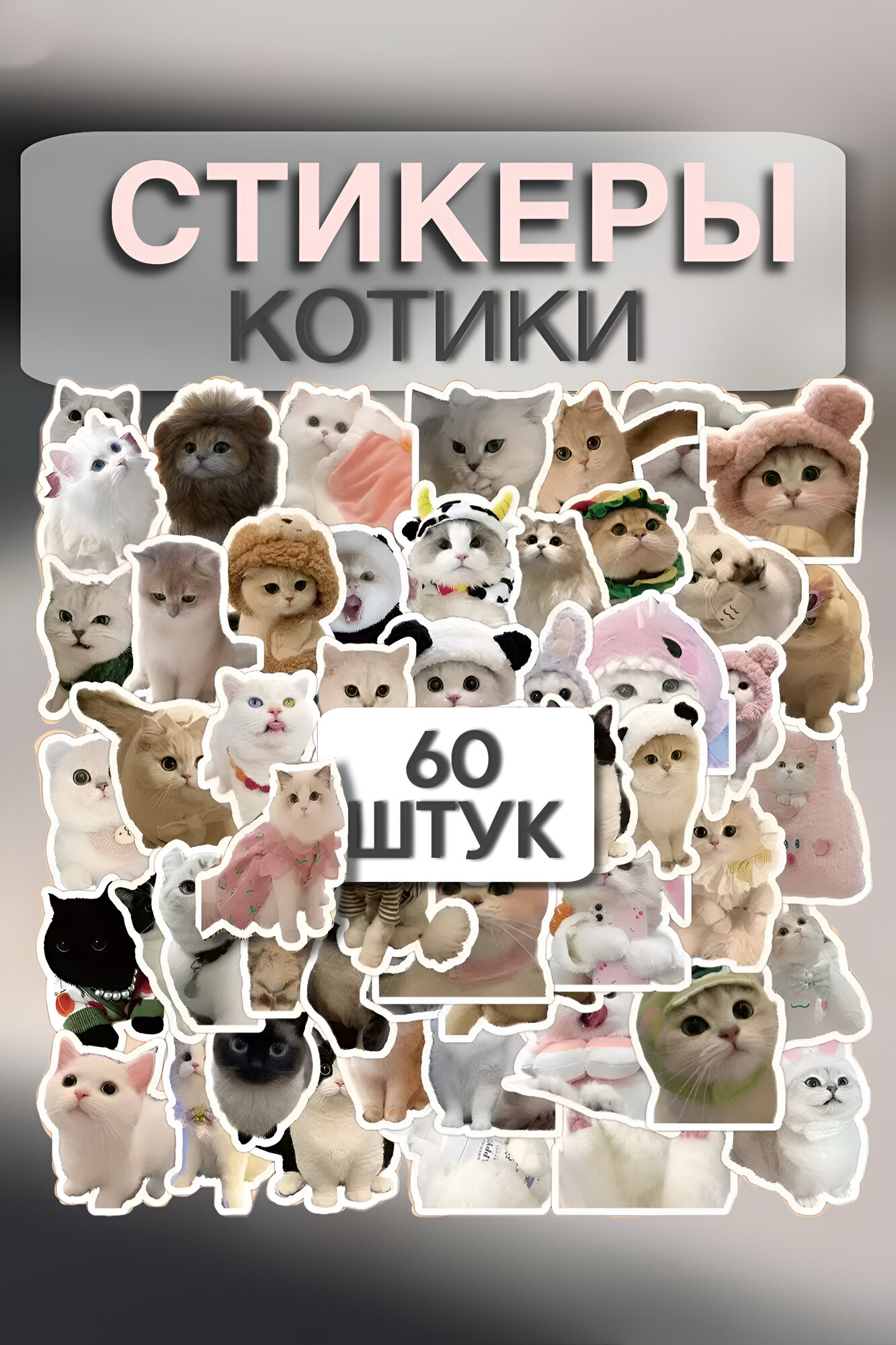 Стикеры виниловые котики 60 штук, наклейки котики