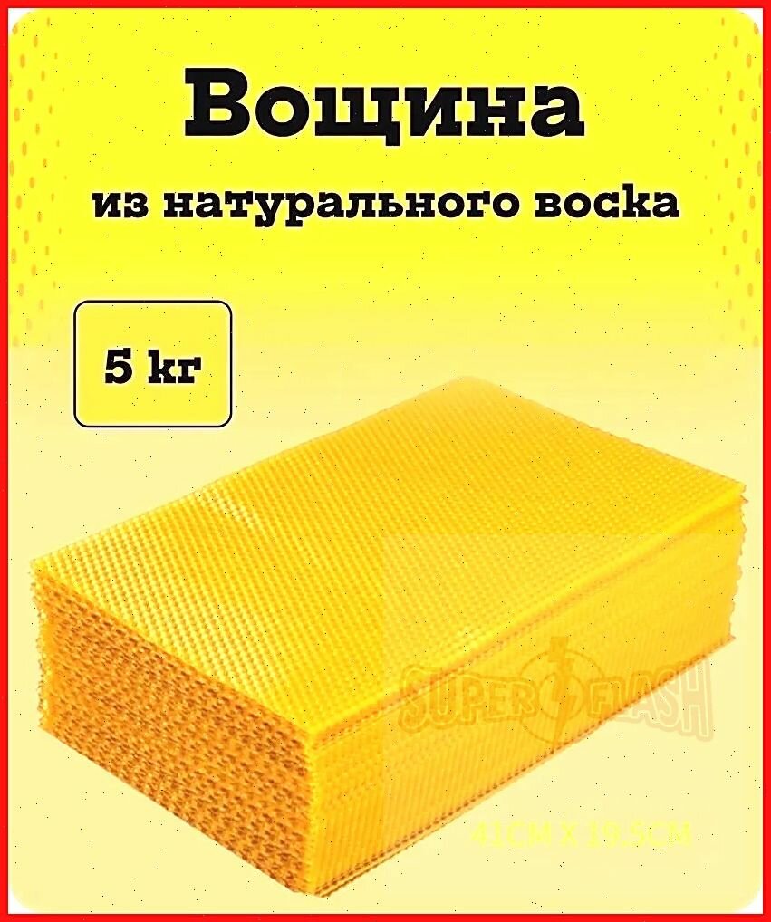 Вощина