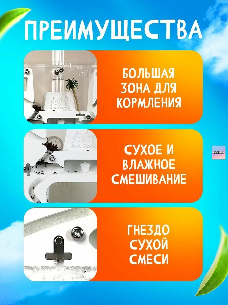 Муравьиная ферма — фото 1