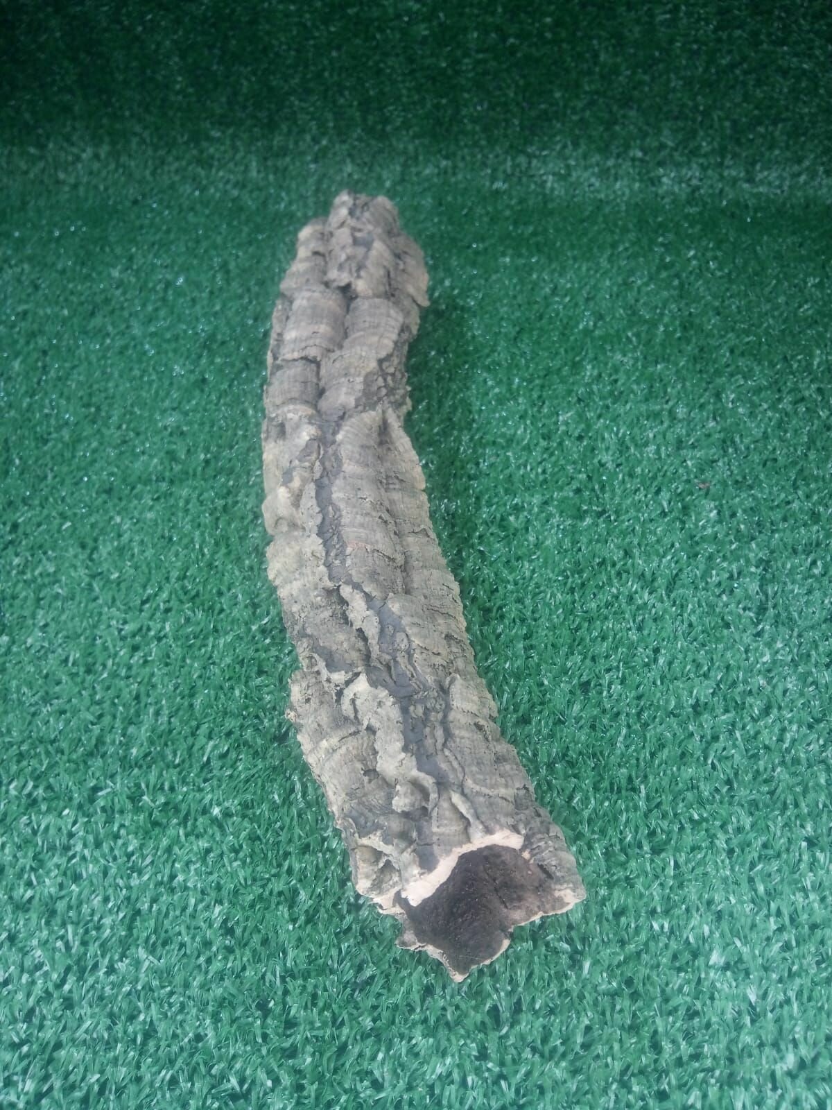 Укрытие натуральное в террариум - кора пробкового дерева "Тоннель" - для змей, пауков, рептилий и амфибий( диаметр 4-6 см, длина 40 см,)