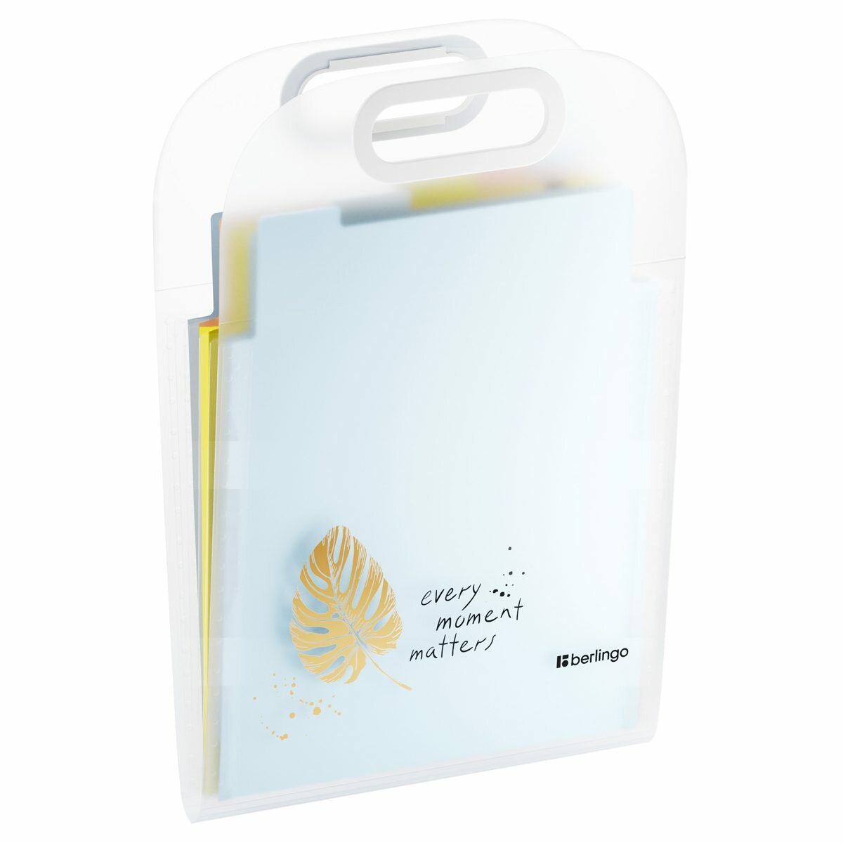 Папка-органайзер с ручкой Berlingo "Eco" (А4, 6 отделений, вертикальная) прозрачная с рисунком (XF4_06989), 96шт.