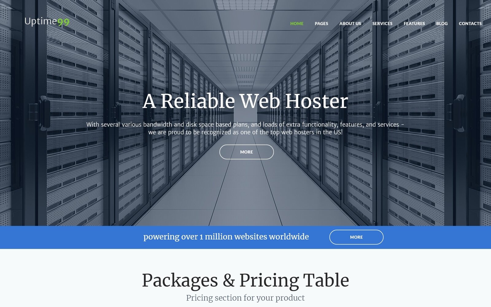 Подарочный сертификат на Шаблон для сайта Вордпресс с демоконтентом Uptime99 - Web Hosting WordPress Theme