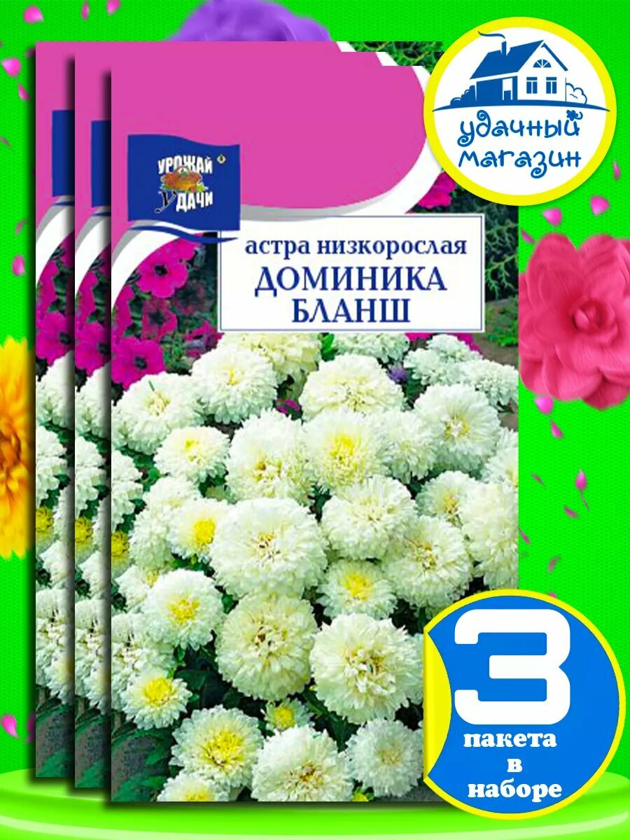 Семена астра низкорослая белая