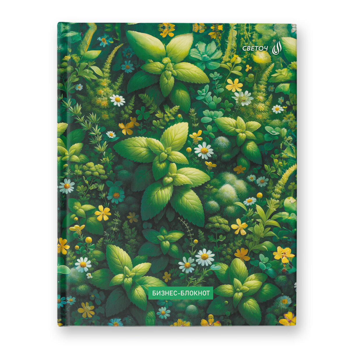 Светоч Бизнес-блокнот ББ98-QX18 A5 80 л клетка глянцевая ламинация 01159 для заметок