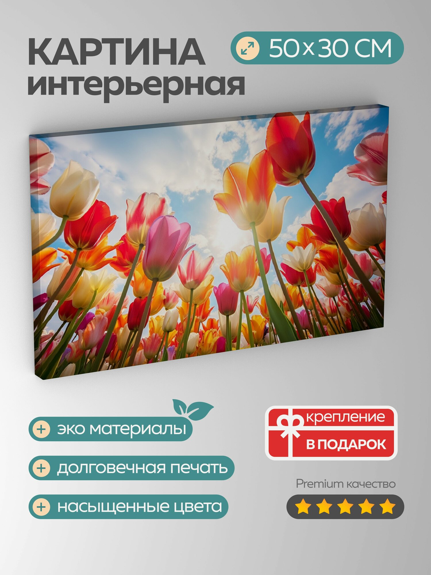 Картина на холсте интерьерная 50х30 см, фотография, "Тюльпанный рай", низкий ракурс, красота цветов, тюльпаны