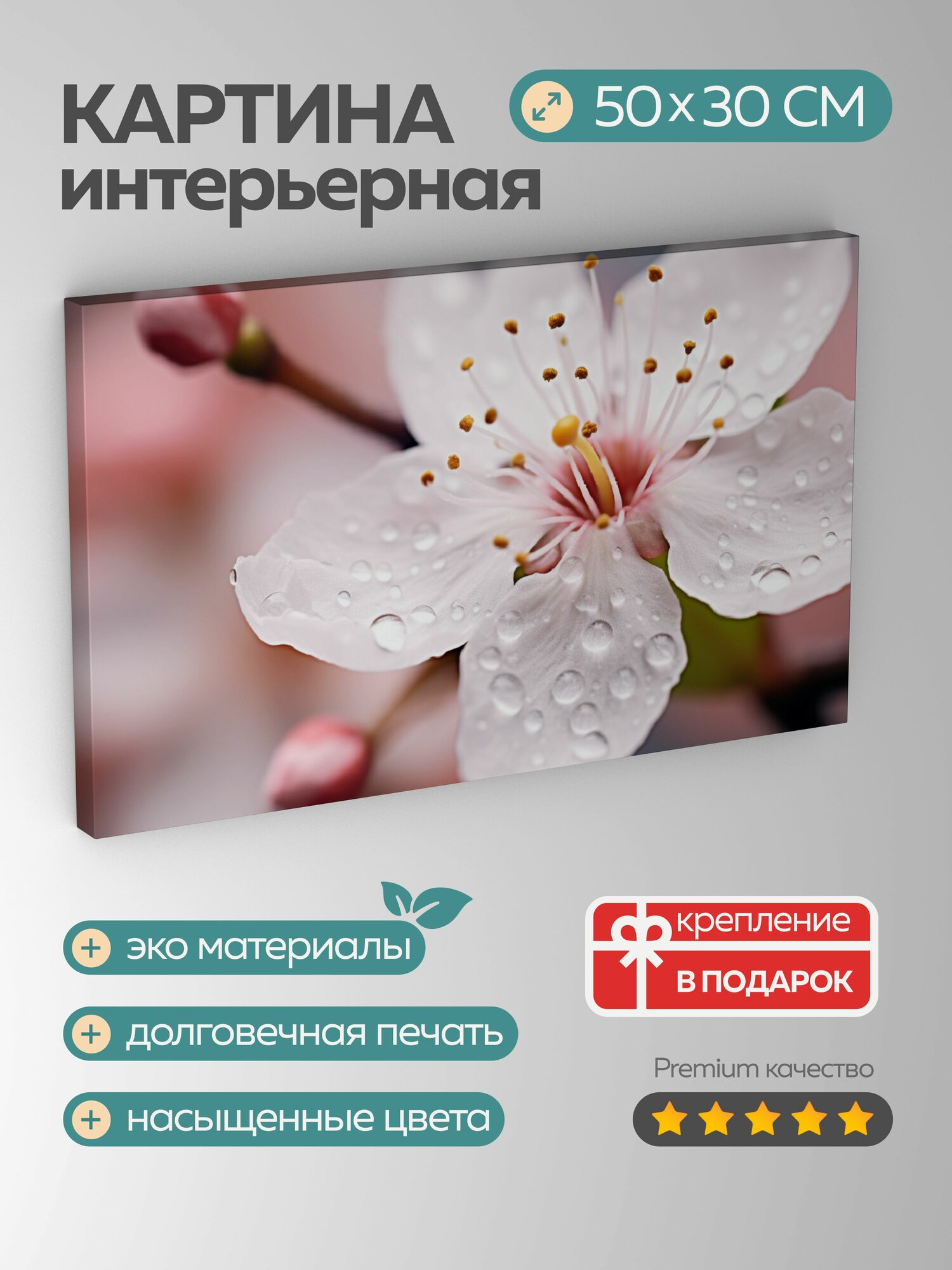 Картина на холсте интерьерная 50х30 см, черемуха, цветущая, крупный план, макрообъектив, нежные лепестки, текстура