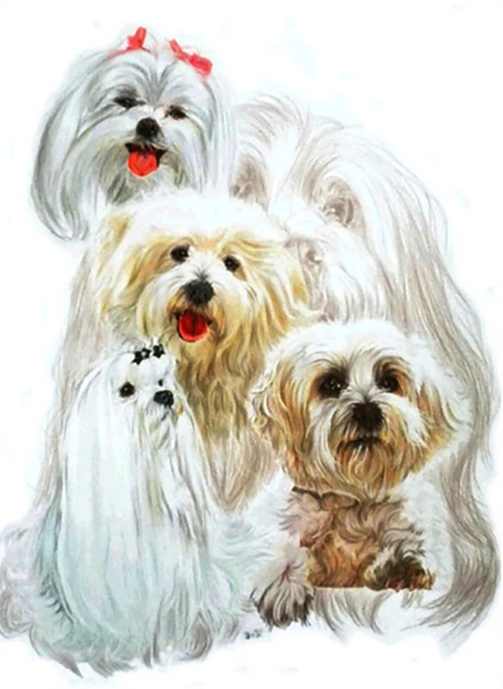 5D DIY Алмазная картина Ротвейлер Хаски Собака Полная круглая Алмазная мозаика Животное Алмазная вышивка Комплект Стразы Домашнее украшение