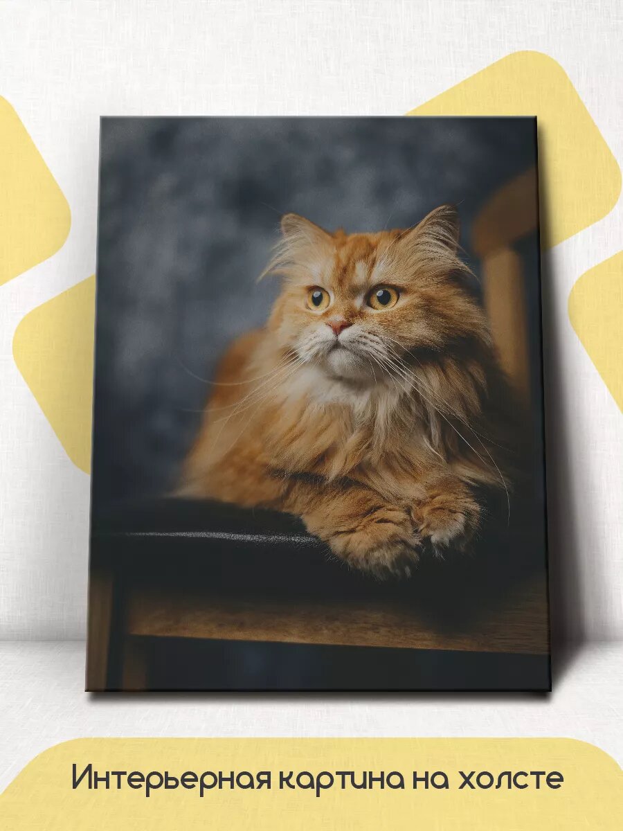 Картина на стену интерьерная Рыжий кот 45x60 см