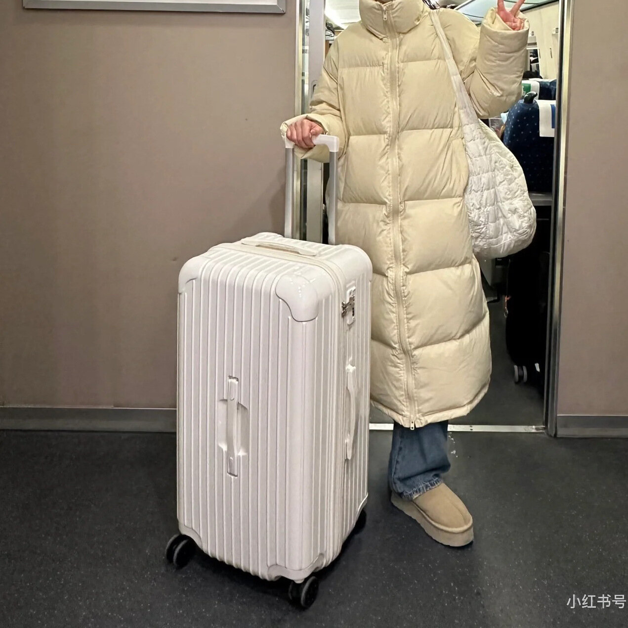 Чехол для чемодана