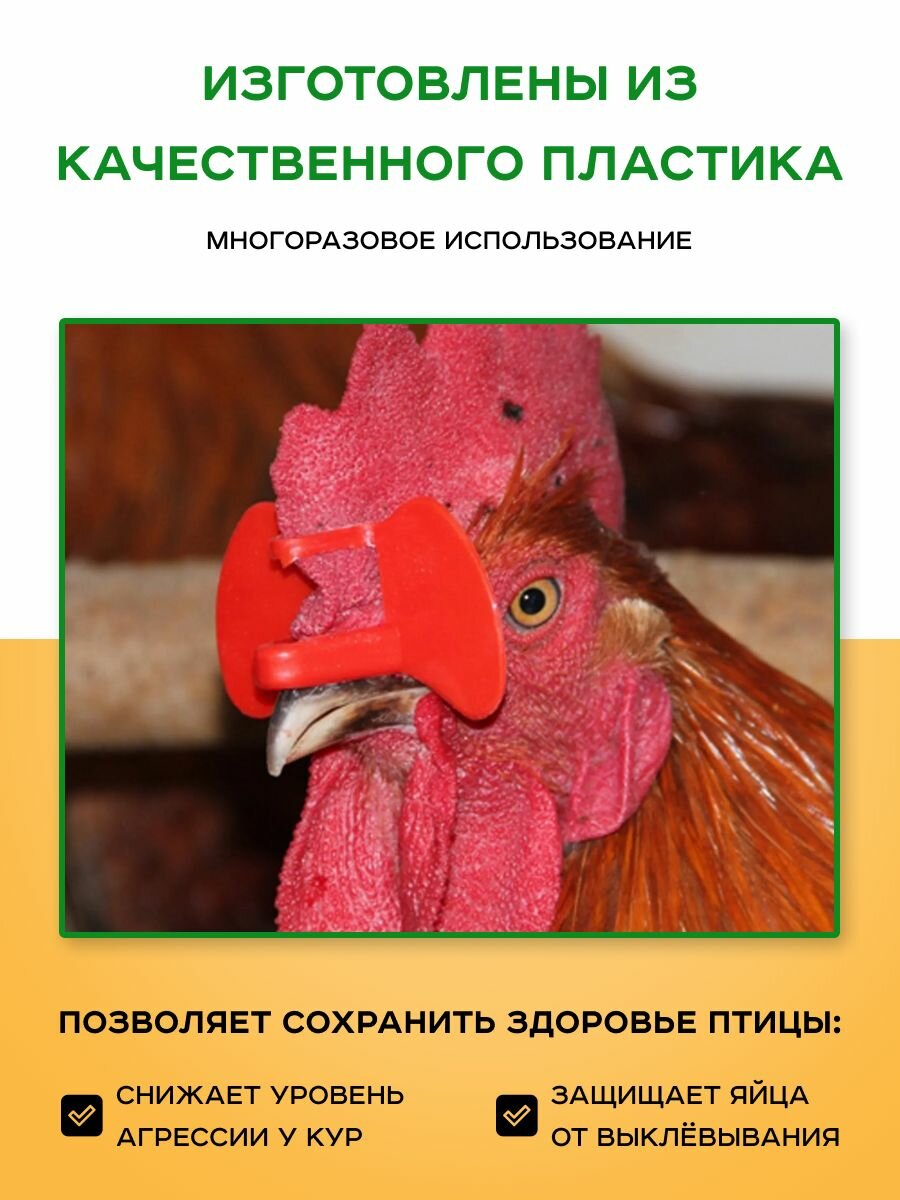 Очки от расклева для кур — фото 1
