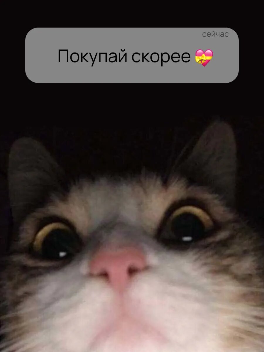 Кружка DB Homme "Cute cat" эстетическая, Hello, чашка pinterest, 300 мл