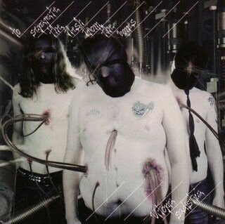 To Separate The Flesh From The Bones. Utopia Sadistica (Promo, Finland, Spikefarm Records, Naula 058, 2004) CD