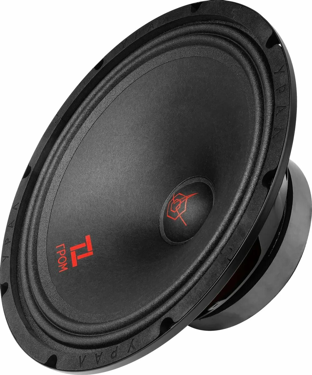 Автоакустика URAL TT 250 Гром, 10", 98.5 дБ, 2 полосы, черная