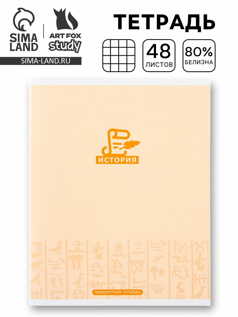 Тетрадь в клетку, предметная, 48 л, на скрепке, А5 "минимализм. История"
