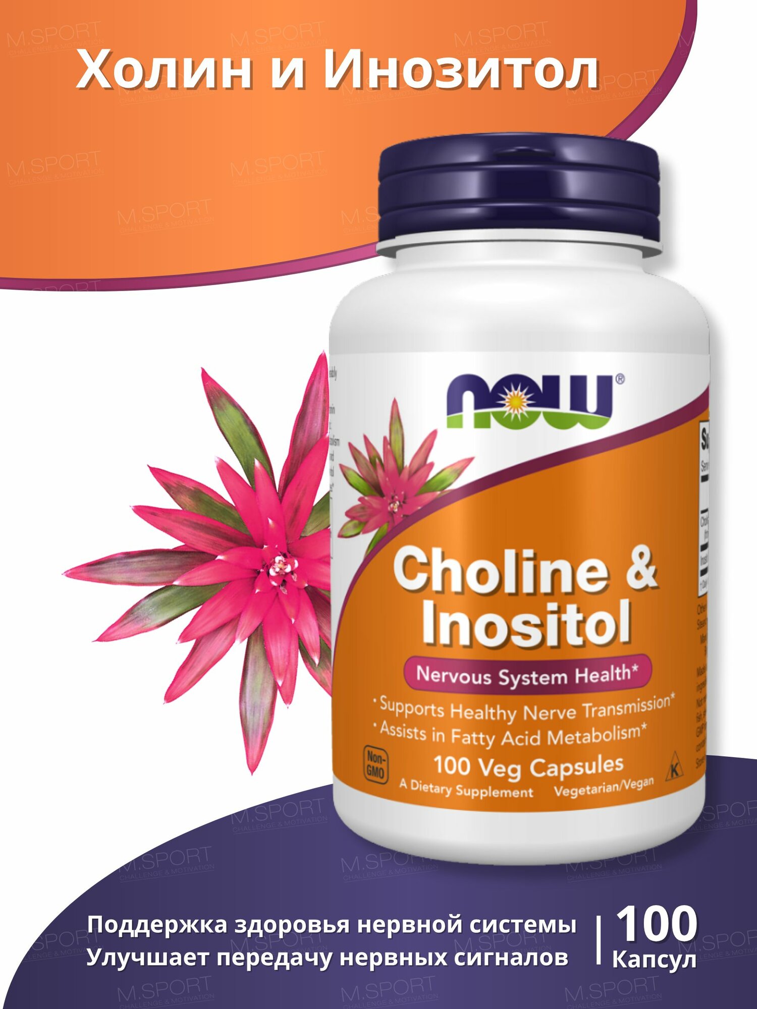 Нау Фудс Холин и Инозитол 500 мг (100 капс) / Now Foods Choline and Inositol 500 mg (100 caps)