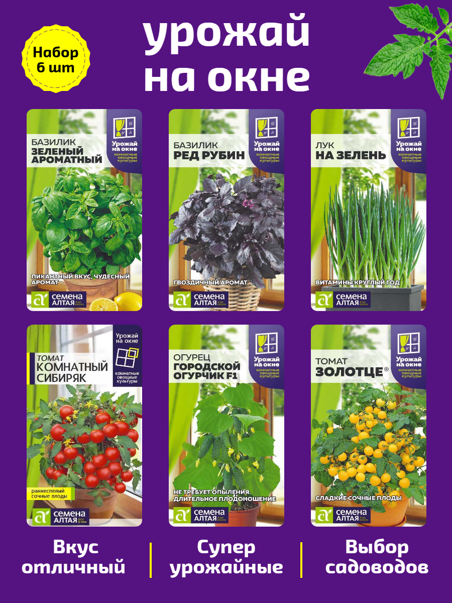 Набор семян "Урожай на Окне", Томат Комнатный Сибиряк, Золотце, Огурец Городской Огурчик, Базилик Ред Рубин.