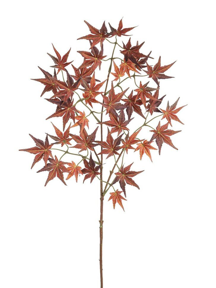 Fiebiger Floristik 109210-552 Ветка декоративная "Клен", 73 см
