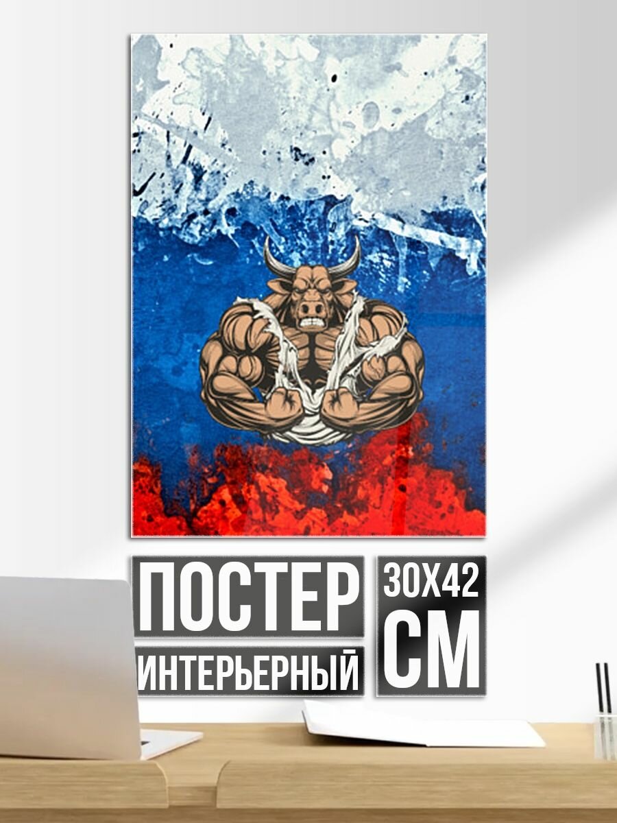 Постер на стену Бык триколор