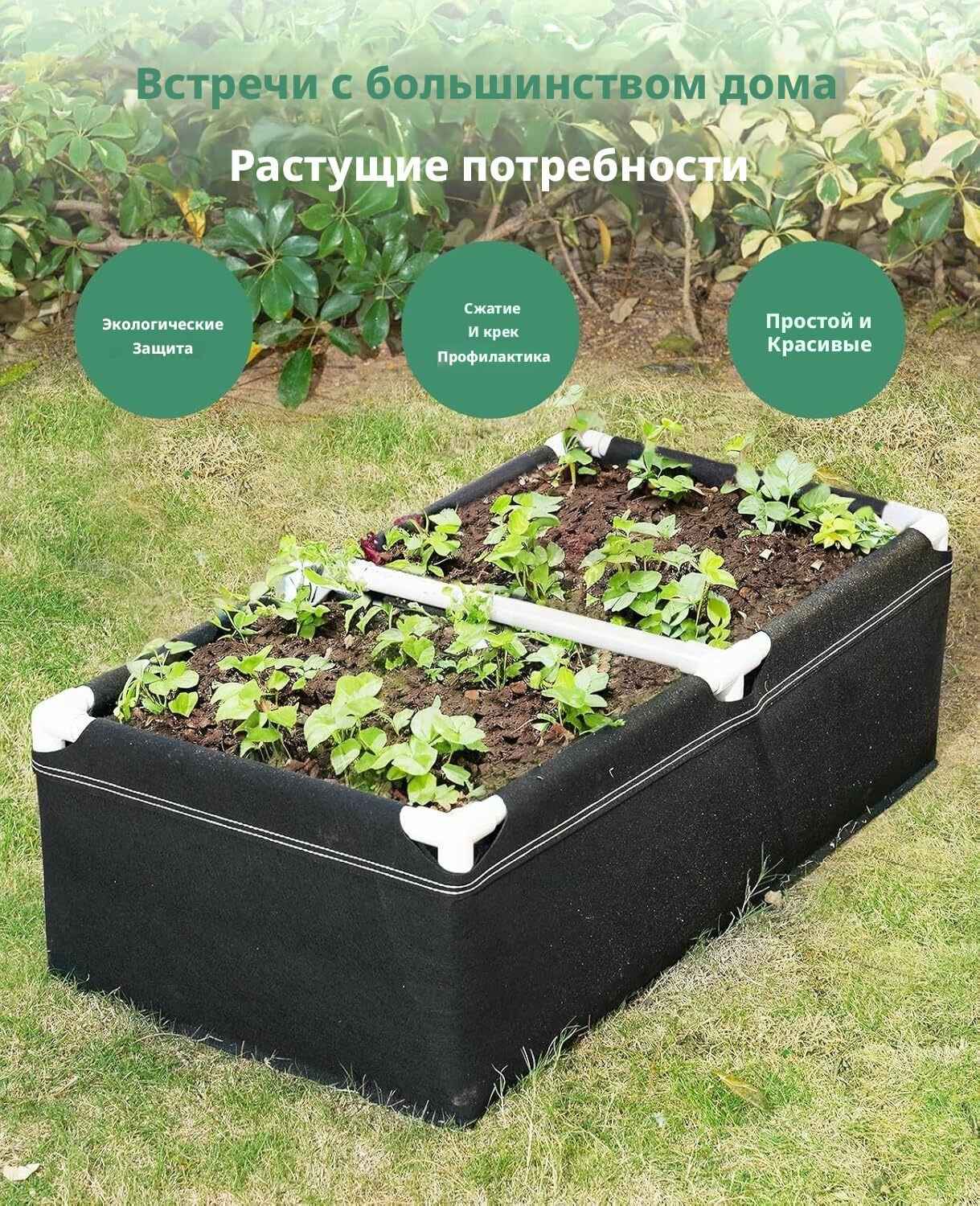 Грядка — фото 1