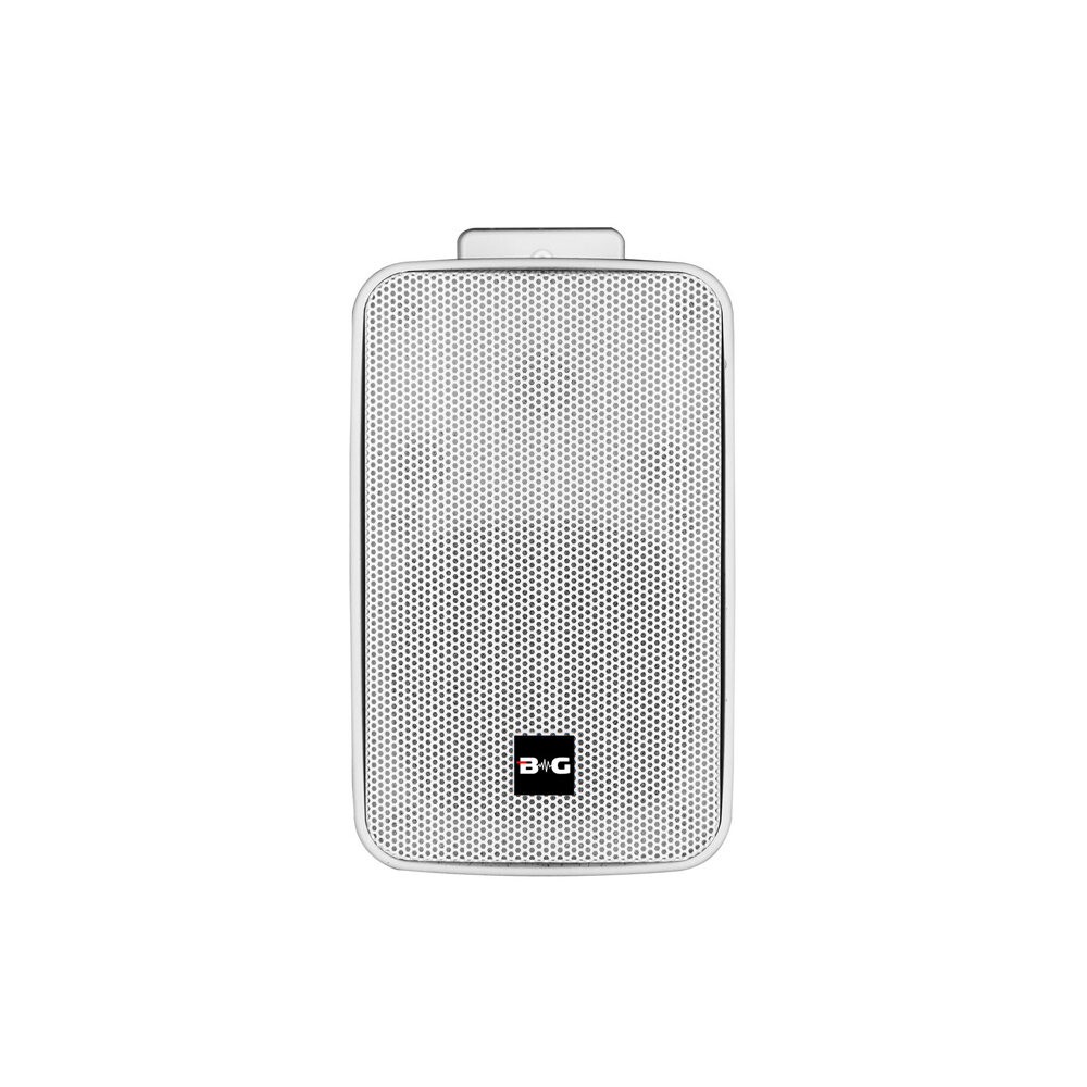 Громкоговоритель настенный BG IP104W