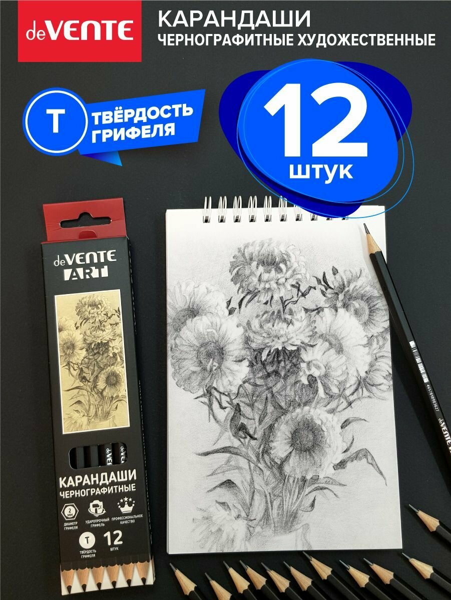 Карандаши простые твердостью Т художественные профессиональные чернографитные 12 шт