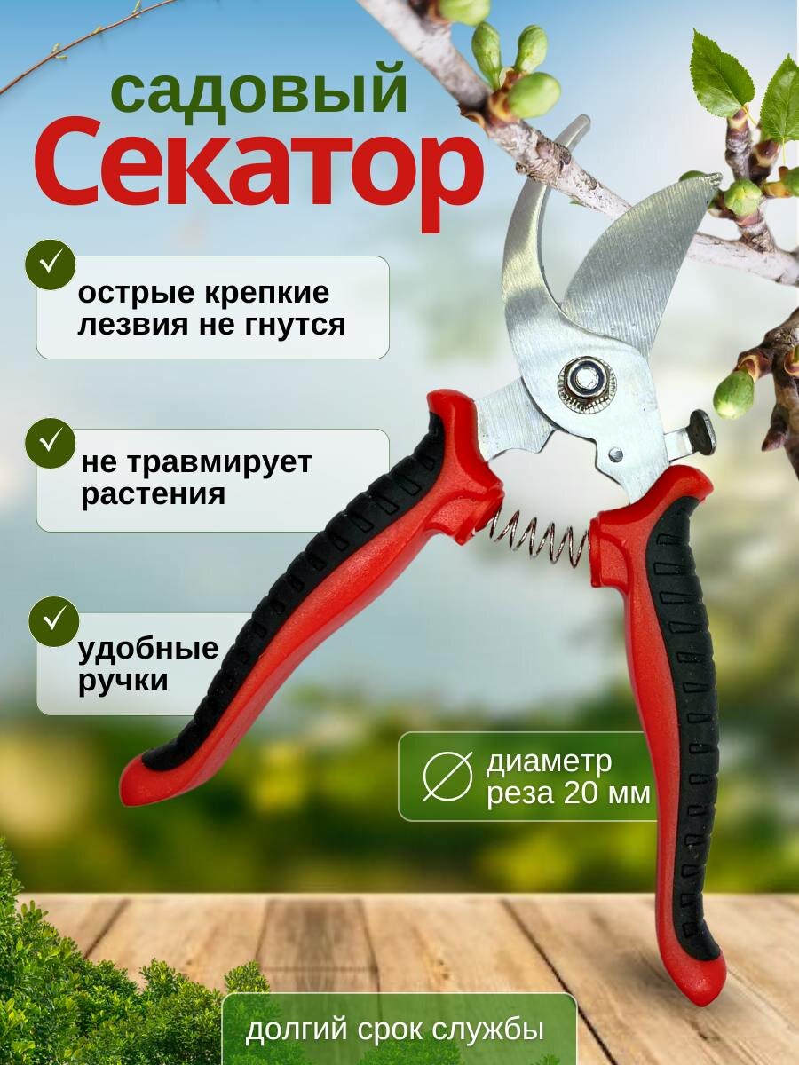 Секатор