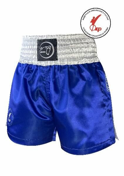 Шорты спортивные