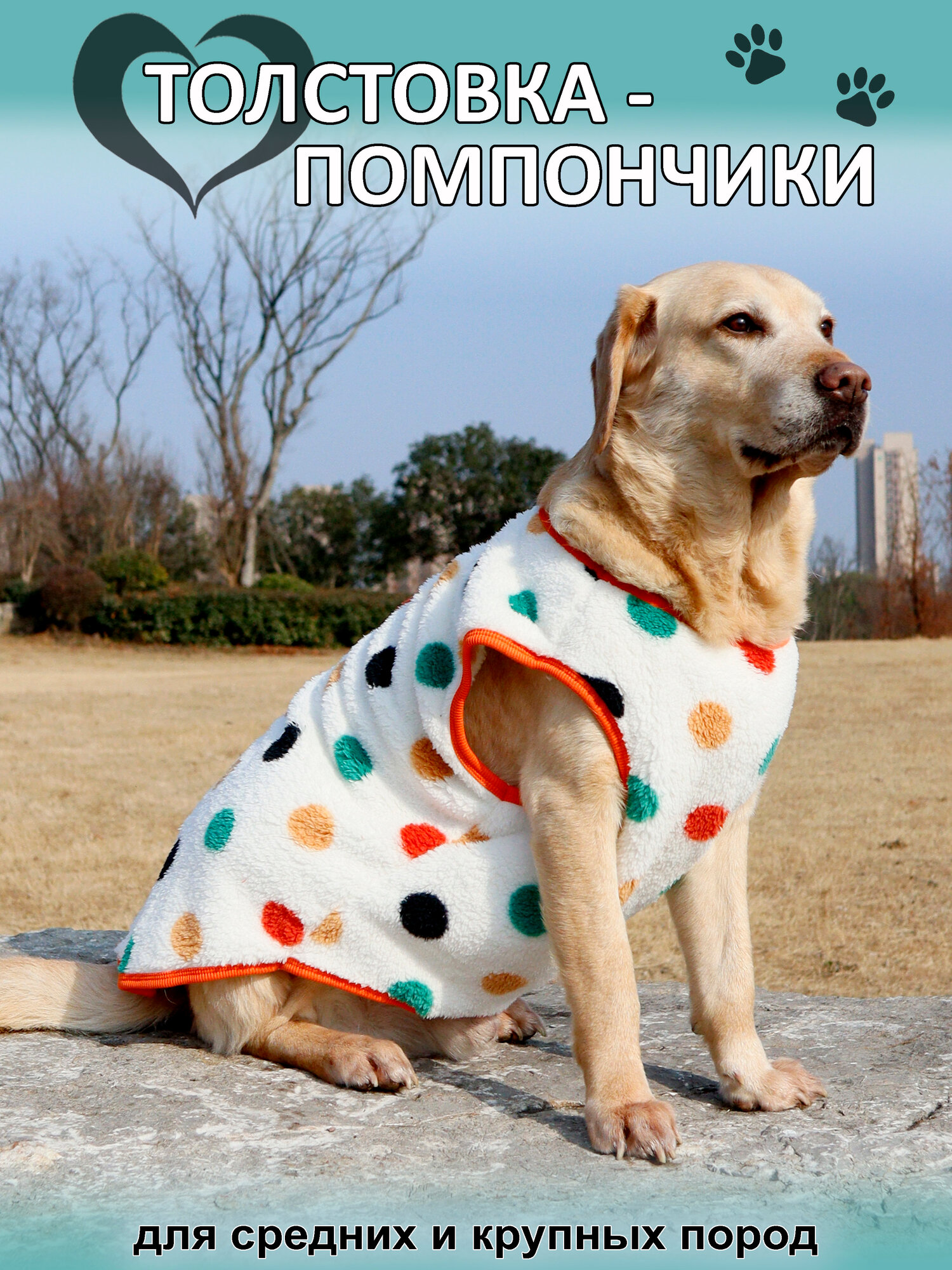 Толстовка, одежда для собак средних и крупных пород "Помпончики", размер 4XL, Rexy Crew