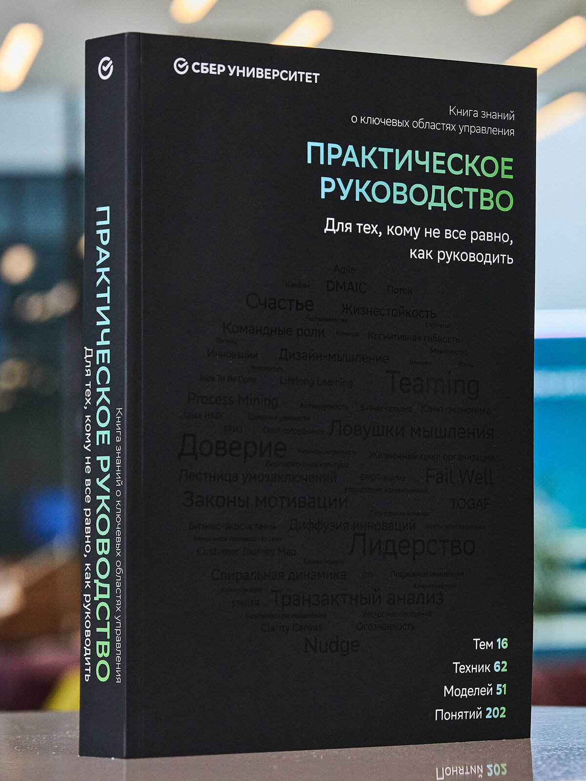 Практическое руководство. Книга знаний о ключевых областях управления
