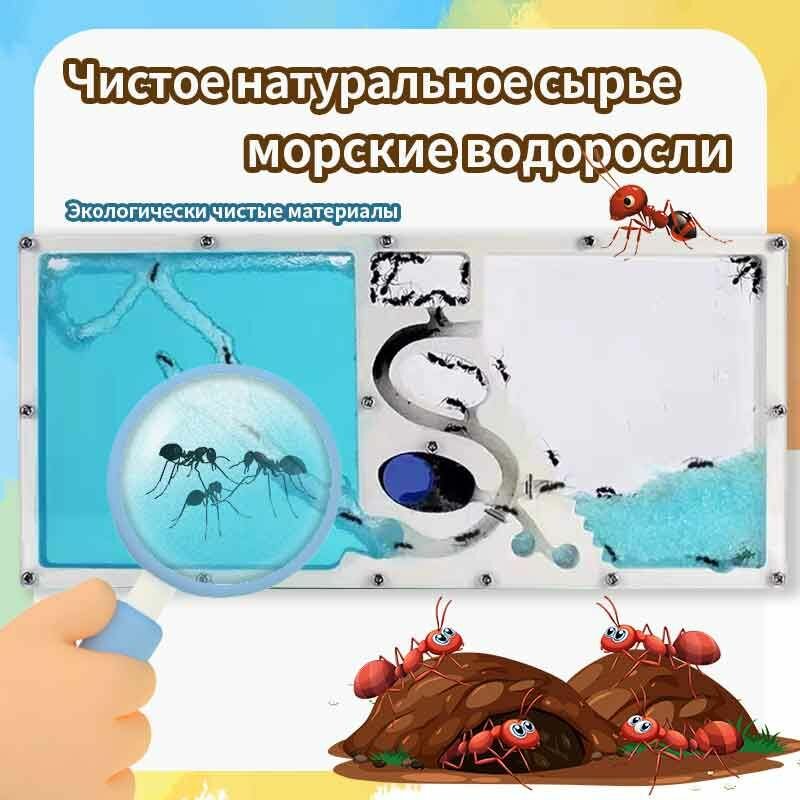 Муравьиная ферма/замок экологический ящик для разведения песчаных гнезд-Натуральный корм для муравьев из морских водорослей