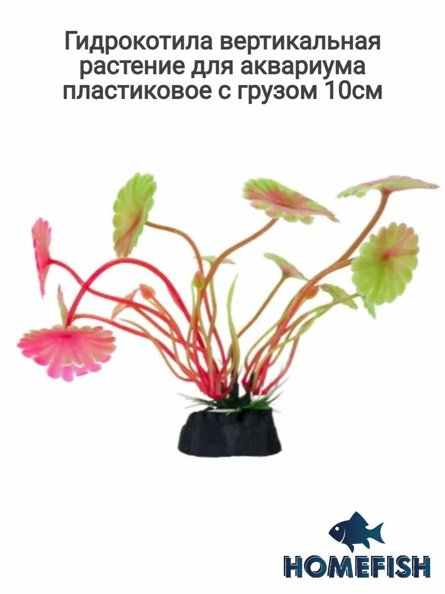 HOMEFISH 10 см Гидрокотила вертикальная растение для аквариума пластиковое с грузом