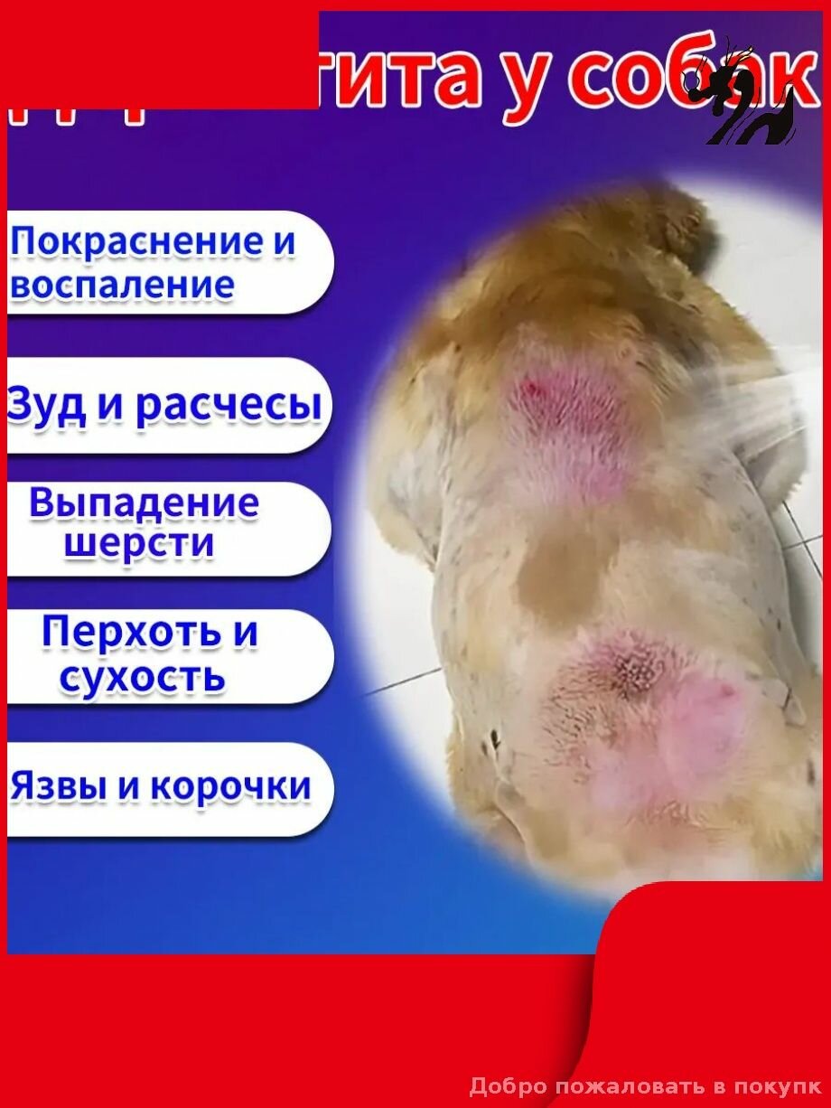 Эксклюзивный спрей 100 мл для собак против зуда, алопеции и эрозий при кожных патологиях