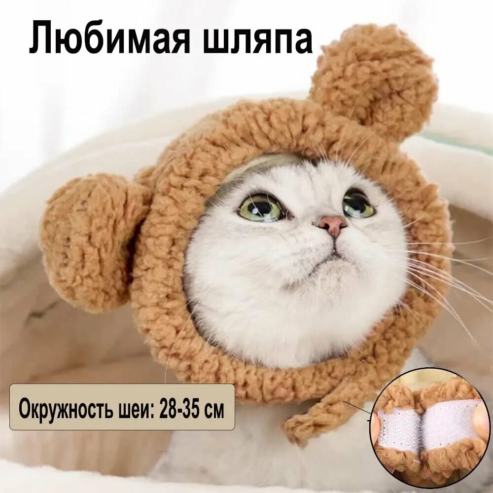 Шапка для кошек и собак мелких пород