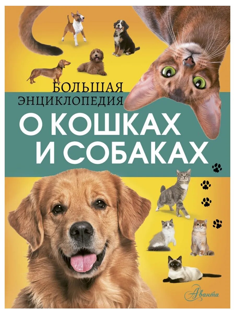 Большая энциклопедия о кошках и собаках