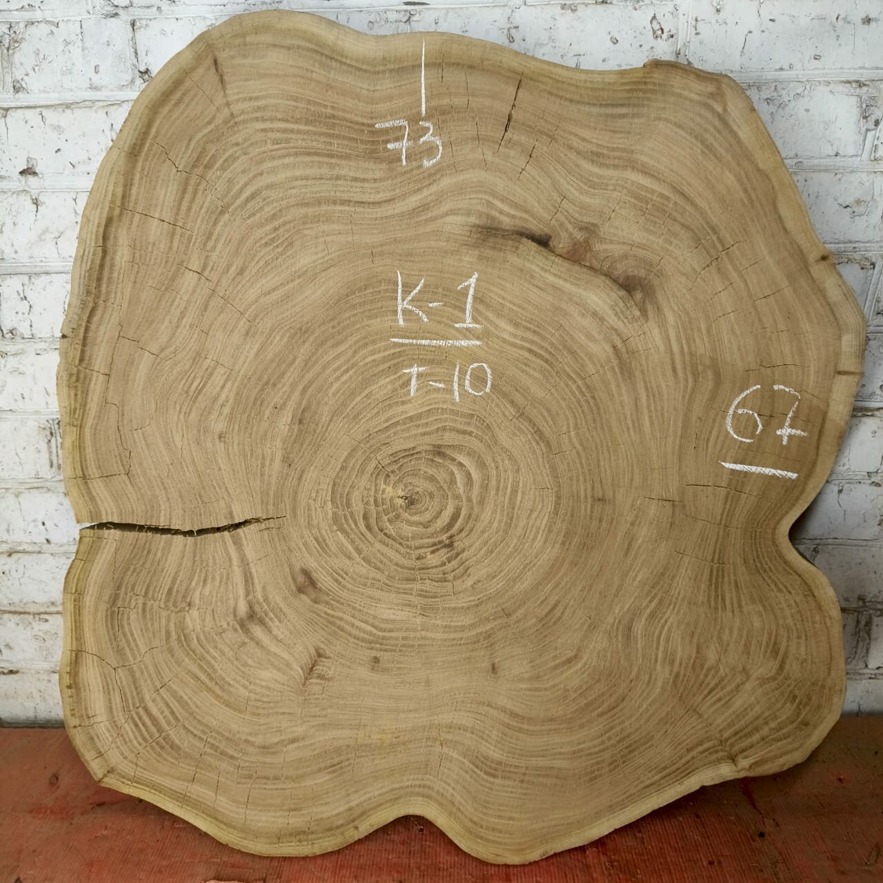 Торцевой спил дерева Карагач К-1, диаметр 67-73 см, выровнен в плоскости