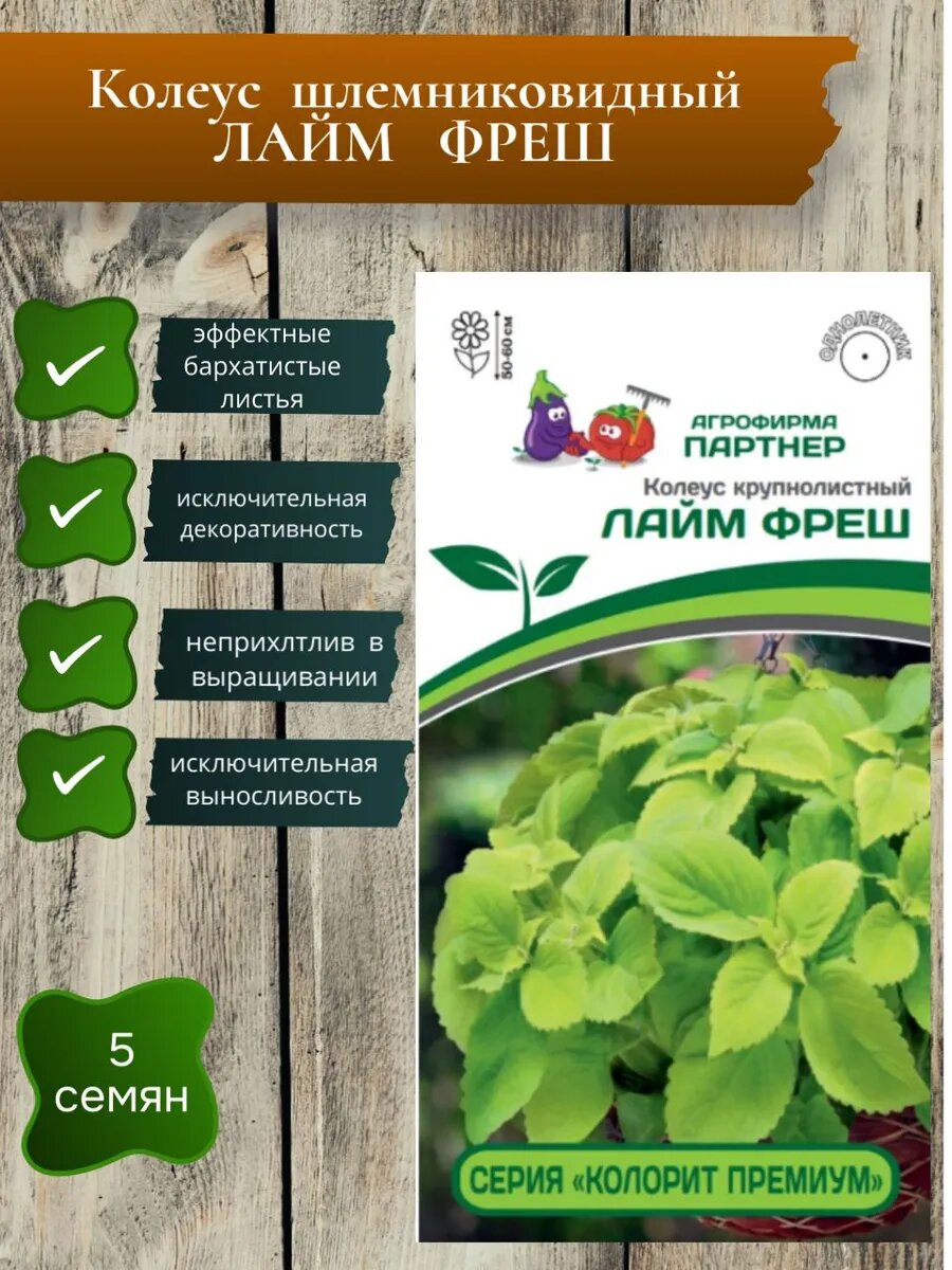 Колеус Лайм Фреш 5 семян