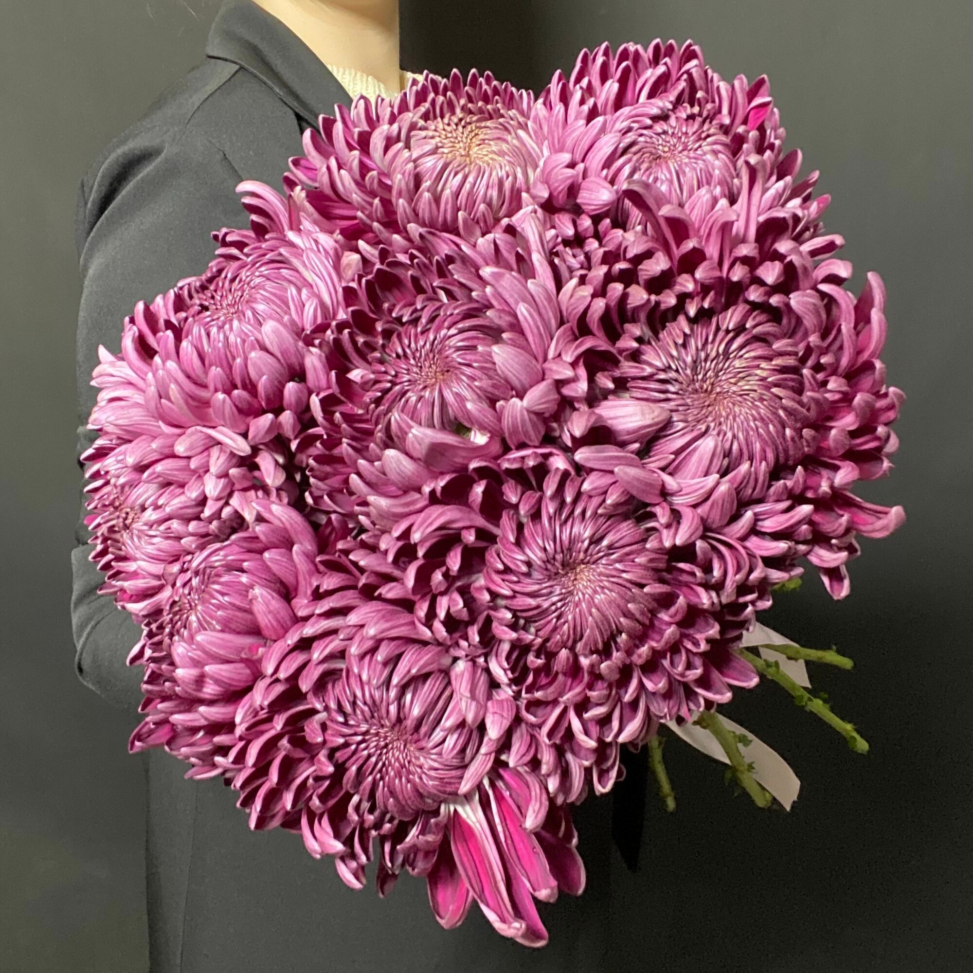 Хризантемы (хризантема 9 шт), высота букета 50 см, ширина 30 см — фото 1