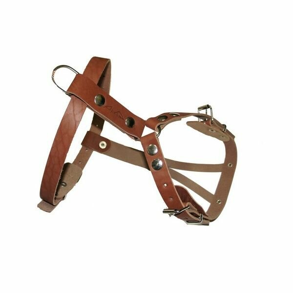 Шлейка для собак Аркон для французских бульдогов, кокер-спаниелей, цвет Коньячный