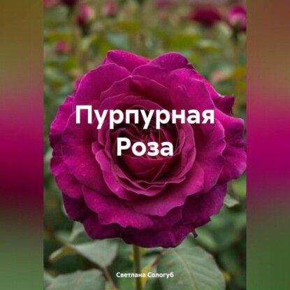 Пурпурная Роза [Аудиокнига]