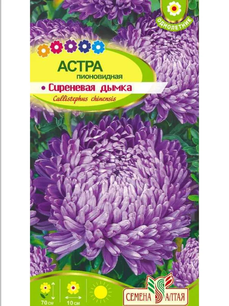 Семена астры пионовидной Сиреневая дымка