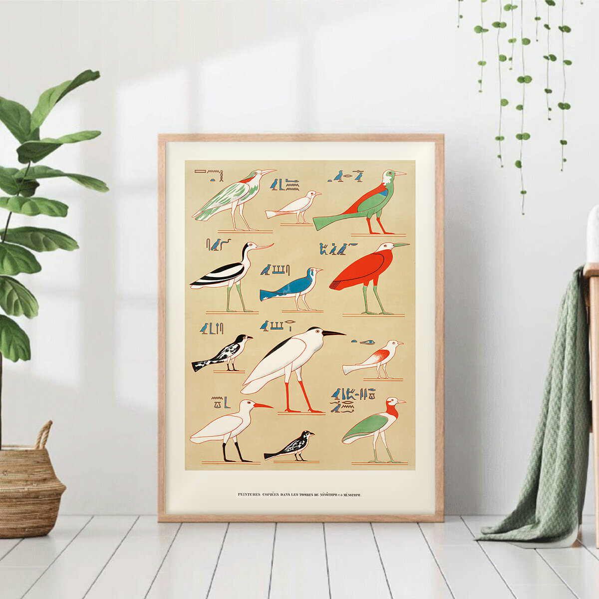 Постер "Птицы в египетском стиле иллюстрация" без рамы 40x50 см на стену для интерьера