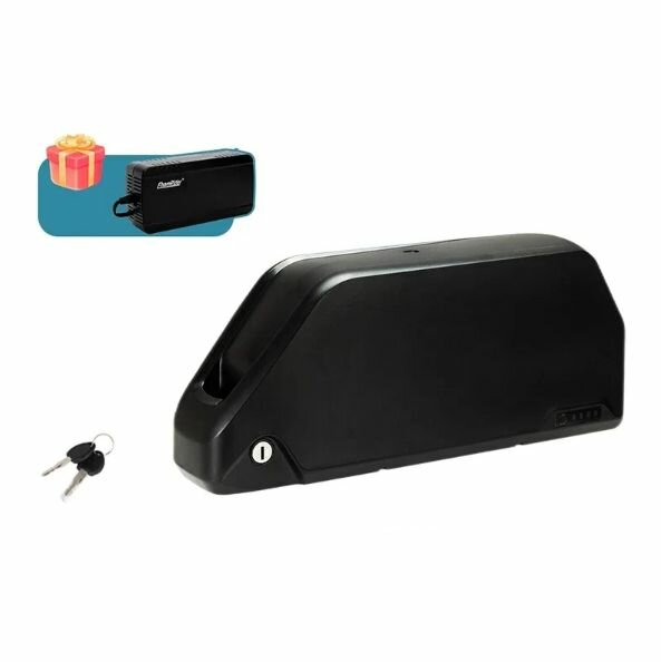 Аккумулятор Smart VBS 48В 25А*ч, корпус Hailong (DP7) с ЗУ Bluetooth